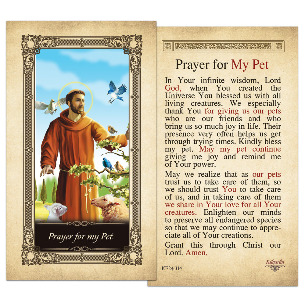 Prayer for My Pet Kilgarlin Laminated Prayer Card - ShopCatholic